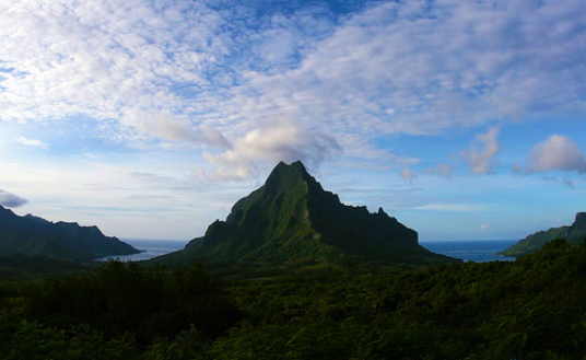Moorea - Tiki - Tauchmagazin.com | Tauchen, Reisen & Meer.